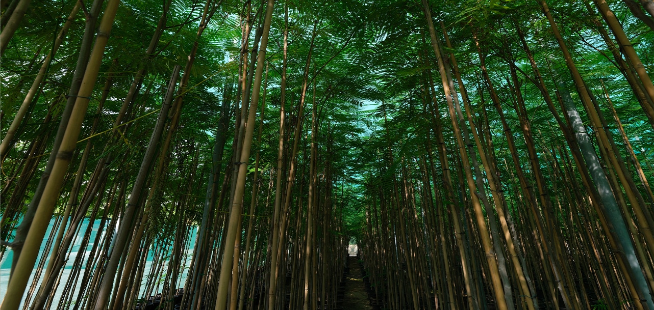 Arada opens Shajar, a new family-friendly destination dedicated to ...